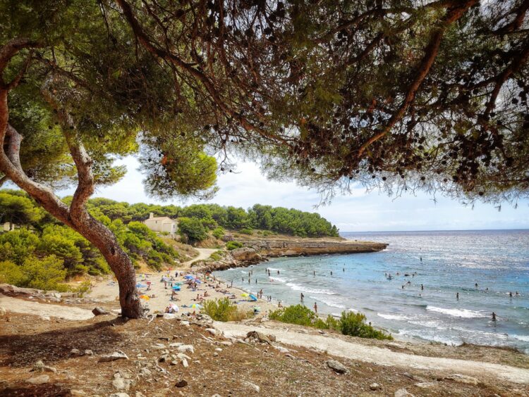 Is Aix-en-Provence Worth Visiting? - All About Aix